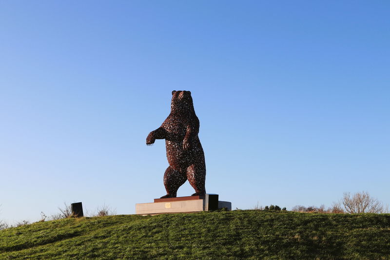 Dunbar Bear - DunBear In Dunbar - Fabulous North