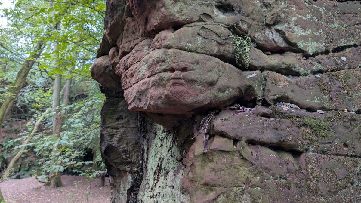 Dunino Den In St. Andrews - Fabulous North