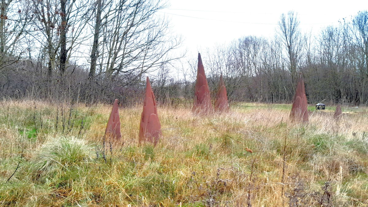 Germination Sculptures, Portrack Marsh In Middlesbrough - Fabulous North