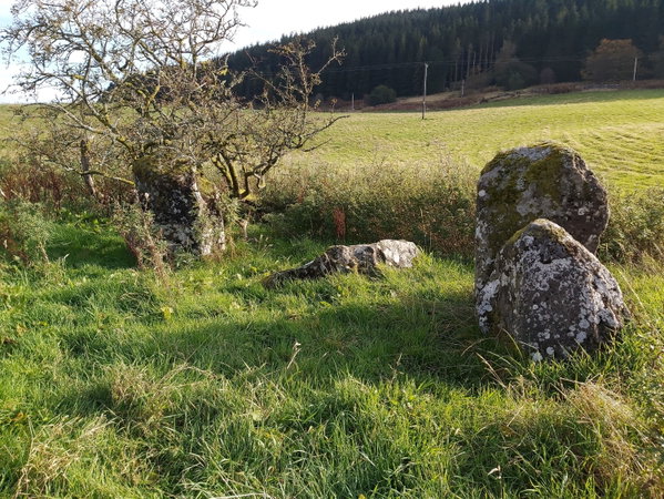 Loupin' Stanes And Girdle Stanes In Eskdalemuir - Fabulous North