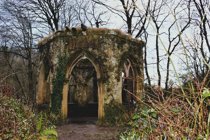 Hackfall In Ripon - Fabulous North