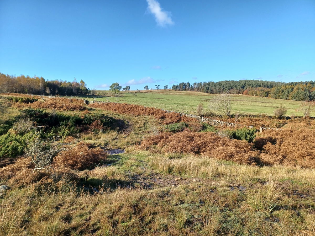 Hepple Wilds In Harbottle - Fabulous North