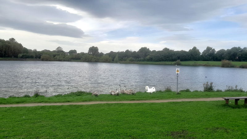 Hetton Lyons Country Park In Houghton-le-Spring - Fabulous North