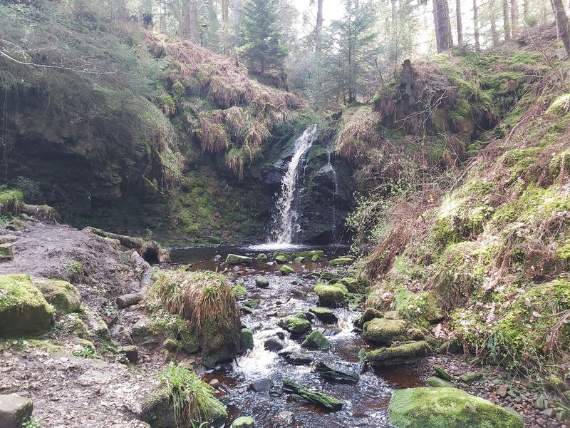 Hindhope Linn In Byrness - Fabulous North