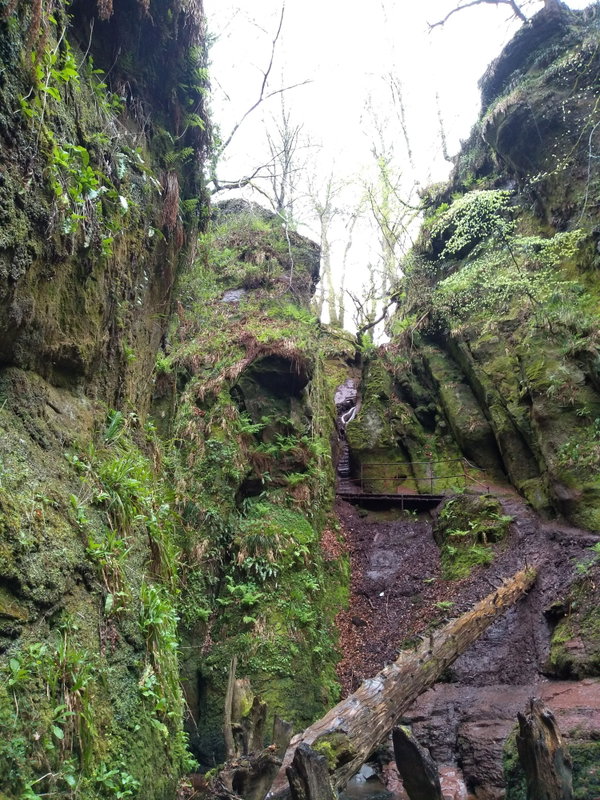 Devil's Pulpit Near Glasgow - Fabulous North