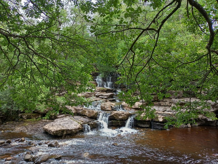 East Gill Force In Richmond - Fabulous North