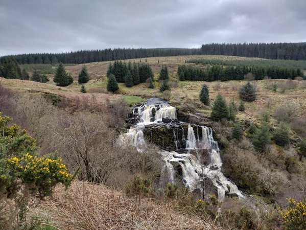 Loup Of Fintry Waterfall In Stirling - Fabulous North