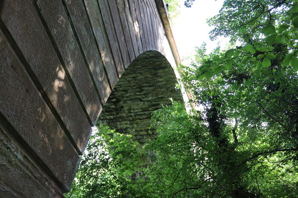 Wetheral Viaduct - Corby Bridge in Wetheral - Fabulous North