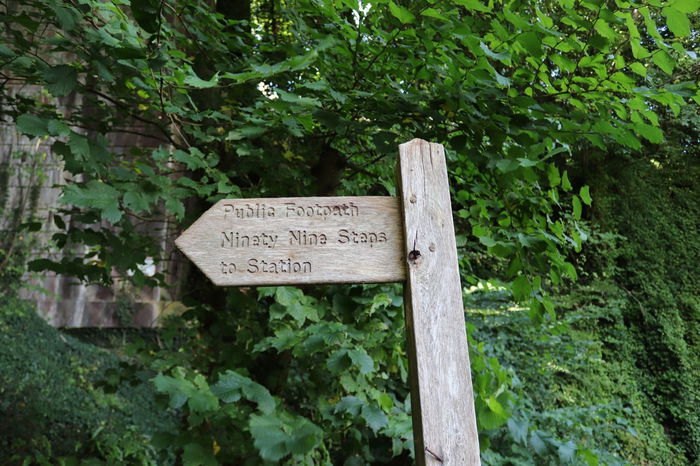 Wetheral Viaduct - Corby Bridge in Wetheral - Fabulous North