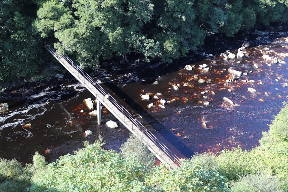 Lambley Viaduct in Haltwhistle - Fabulous North