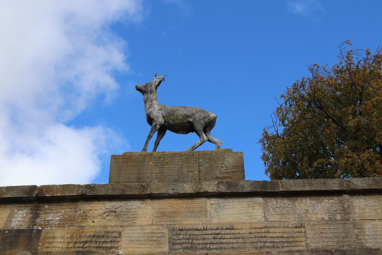 Blagdon Hall Estate in Cramlington - Fabulous North