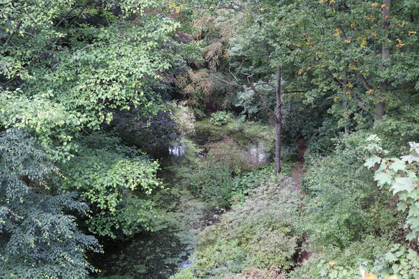 Blagdon Hall Estate in Cramlington - Fabulous North