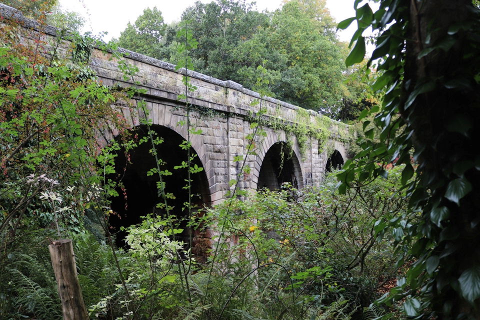 Blagdon Hall Estate in Cramlington - Fabulous North