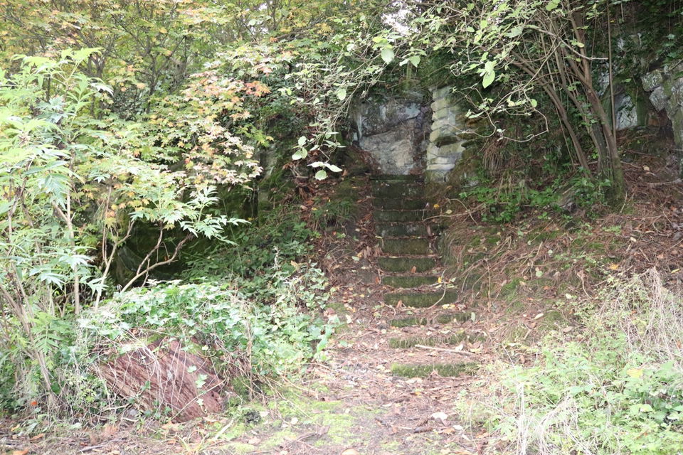 Blagdon Hall Estate in Cramlington - Fabulous North