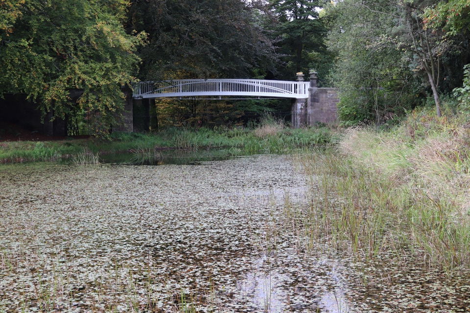Blagdon Hall Estate in Cramlington - Fabulous North