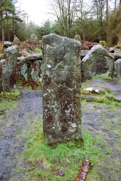 Druid's Temple In Ripon - Fabulous North