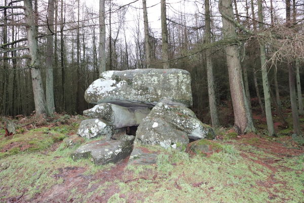 Druid's Temple In Ripon - Fabulous North