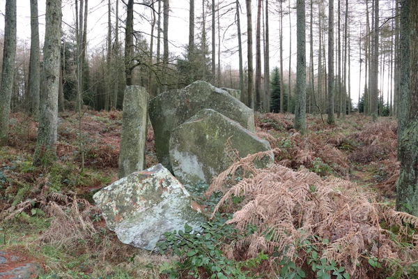 Druid's Temple In Ripon - Fabulous North