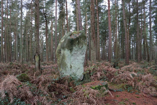 Druid's Temple In Ripon - Fabulous North