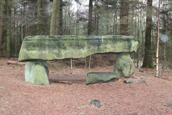 Druid's Temple In Ripon - Fabulous North