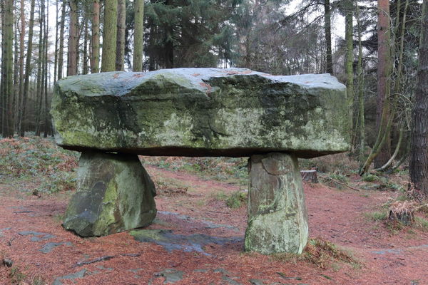 Druid's Temple In Ripon - Fabulous North