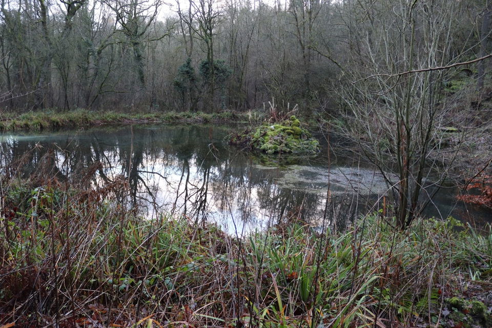 Hackfall In Ripon - Fabulous North