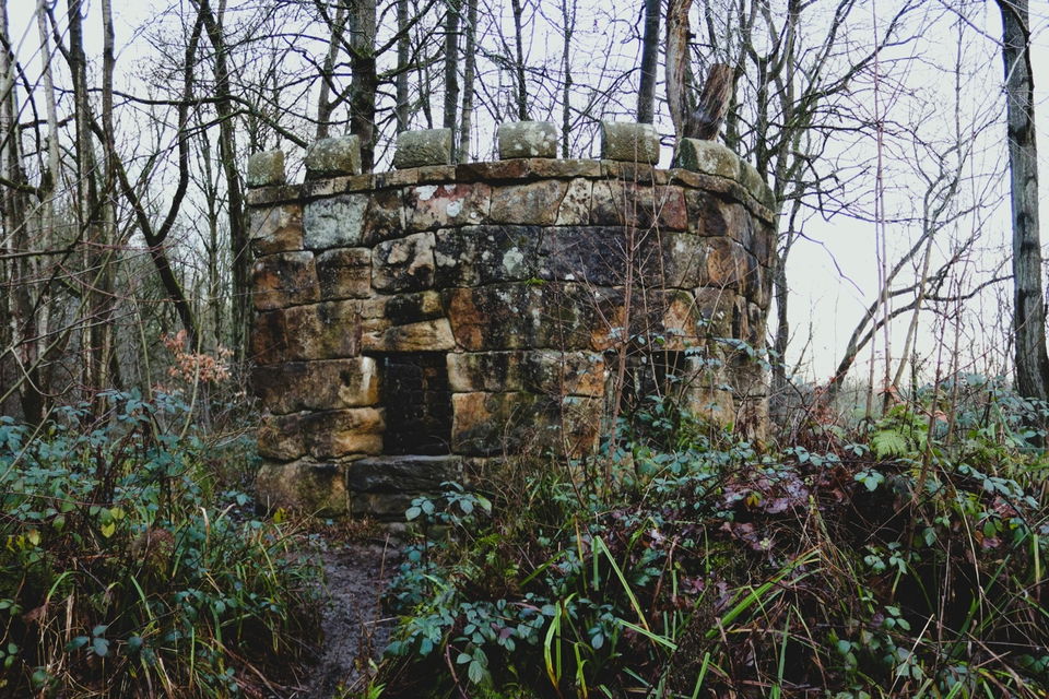 Hackfall In Ripon - Fabulous North