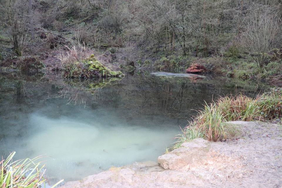 Hackfall In Ripon - Fabulous North