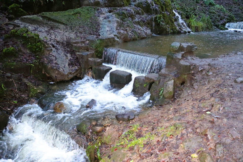 Hackfall In Ripon - Fabulous North