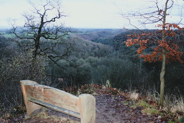 Hackfall In Ripon - Fabulous North