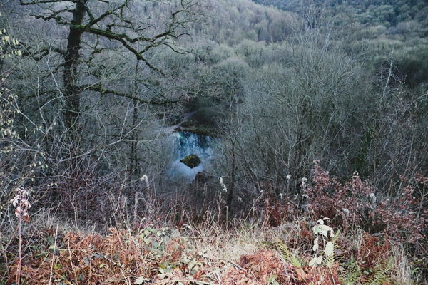 Hackfall In Ripon - Fabulous North