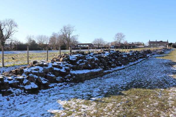 Hadrians Wall at Heddon on The Wall In Ovingham - Fabulous North