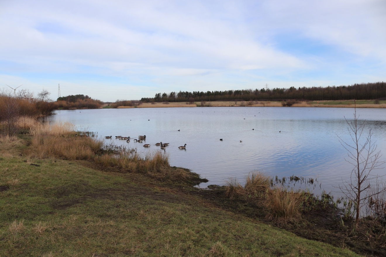 Queen Elizabeth II Jubilee Country Park In Ashington - Fabulous North