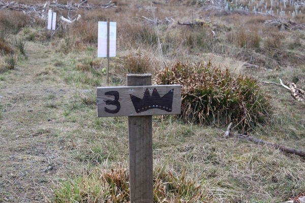 Three Kings Stone Circle In Byrness - Fabulous North
