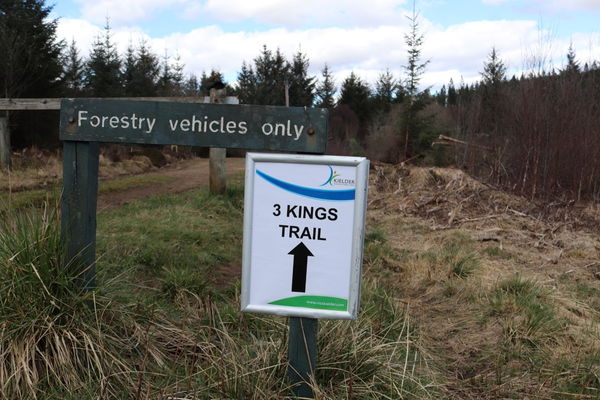Three Kings Stone Circle In Byrness - Fabulous North