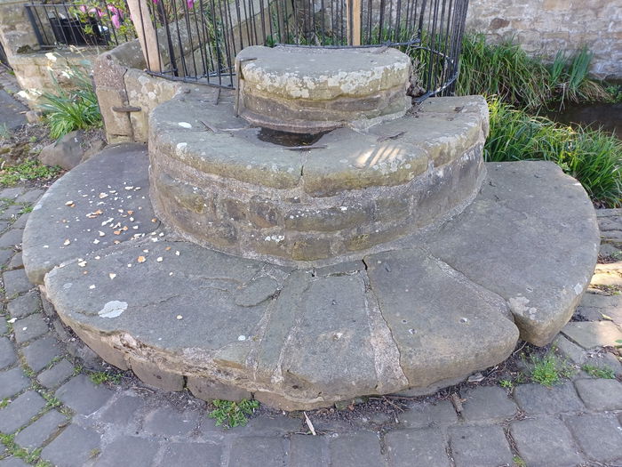 The Fish Stones In Lancaster - Fabulous North