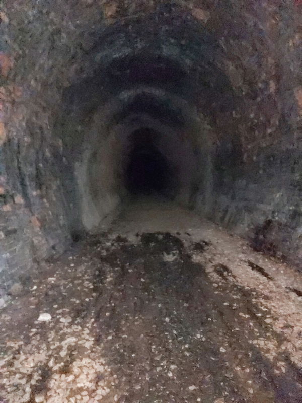 Neidpath Tunnel In Peebles - Fabulous North