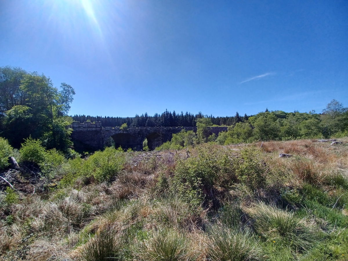 Kielder Viaduct In Kielder - Fabulous North