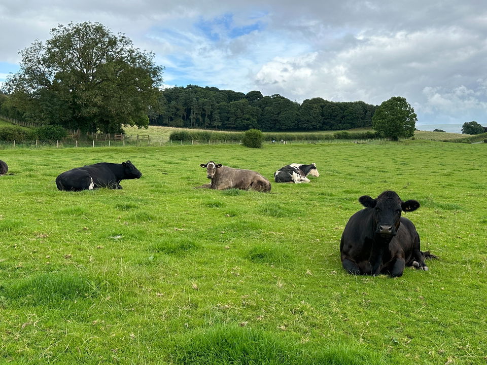 Kirkoswald Castle In Penrith - Fabulous North