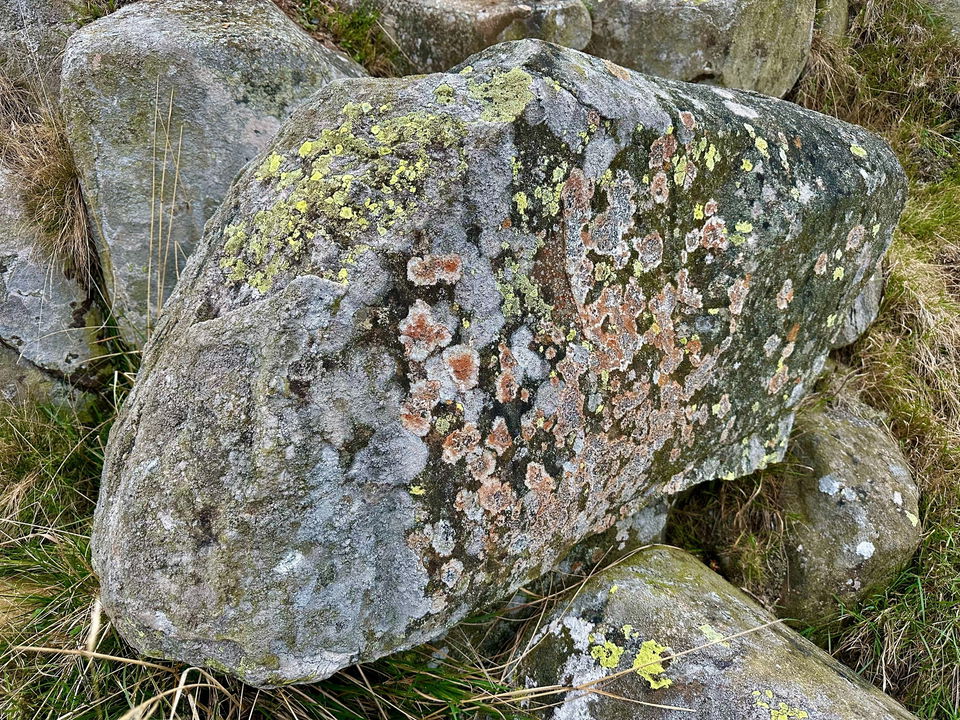 Limestone Corner In Simonburn - Fabulous North