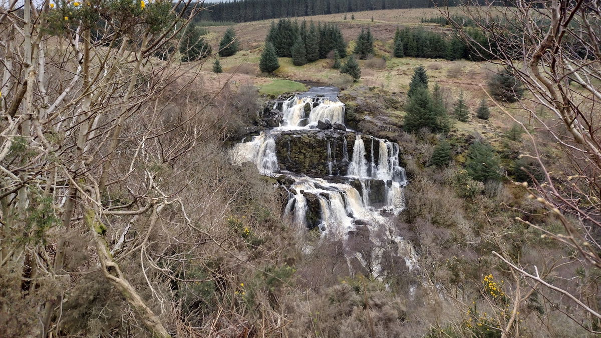 Loup Of Fintry Waterfall In Stirling - Fabulous North