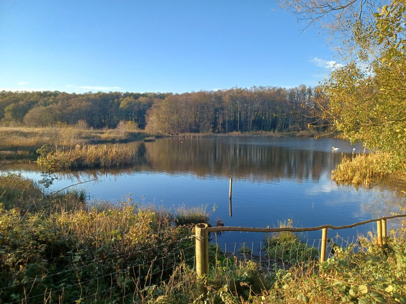 Low Barnes Nature Reserve in Bishop Auckland - Fabulous North