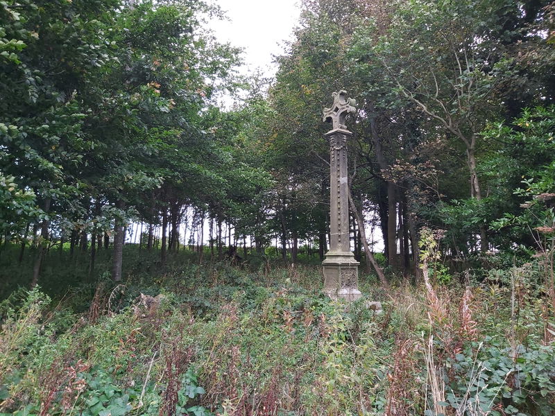 Malcolm III Cross in Alnwick - Fabulous North