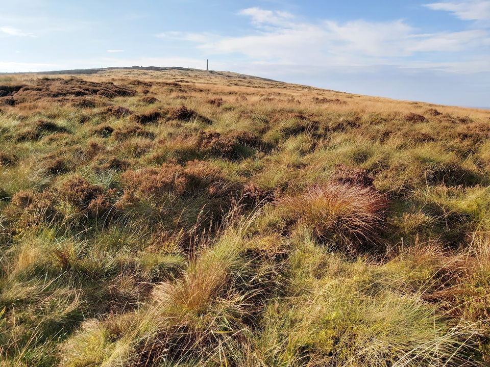 Malcolm Monument In Langholm - Fabulous North