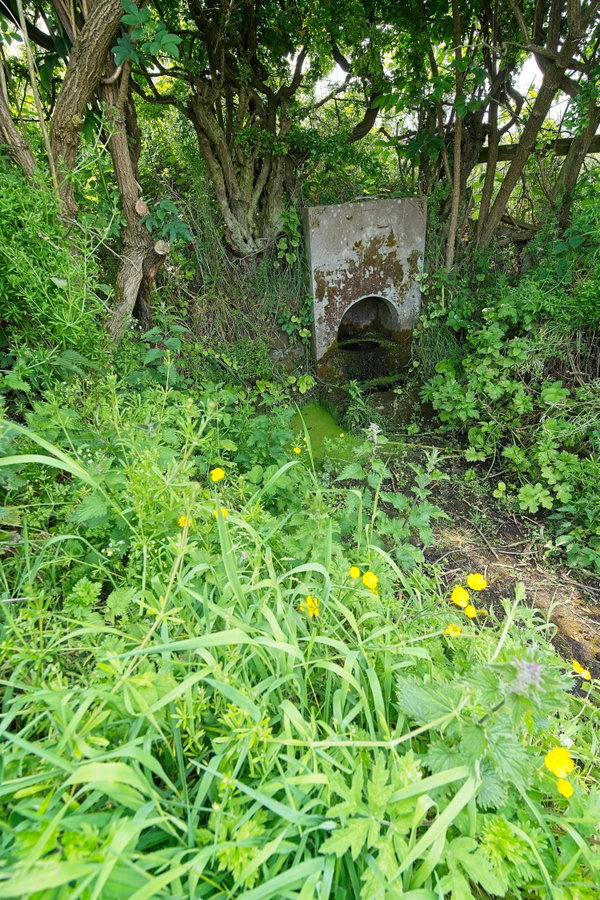 Marmion Well In Branxton - Fabulous North