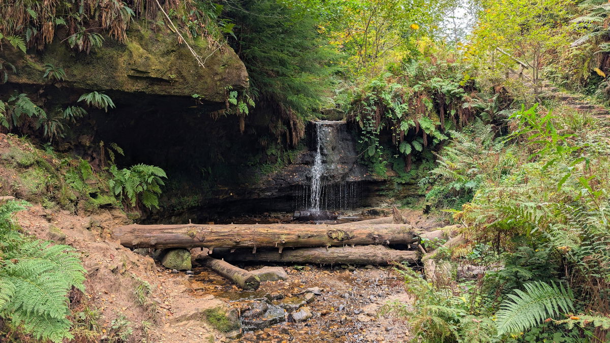 Maspie Den Waterfall In Fife - Fabulous North
