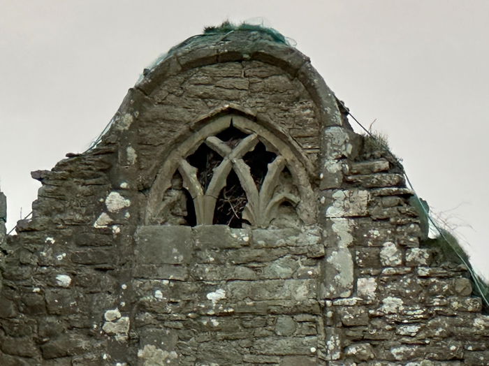 Muggleswick Grange In Consett - Fabulous North