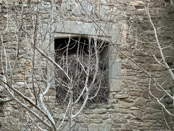 Muggleswick Grange In Consett - Fabulous North