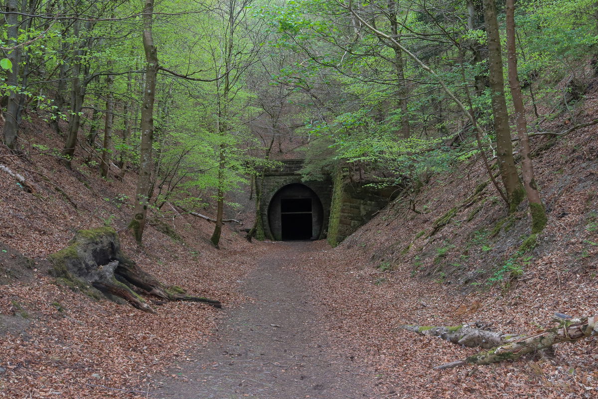 Neidpath Tunnel In Peebles - Fabulous North