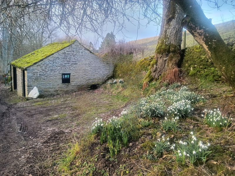 Ninebanks Hearse House In Allendale - Fabulous North